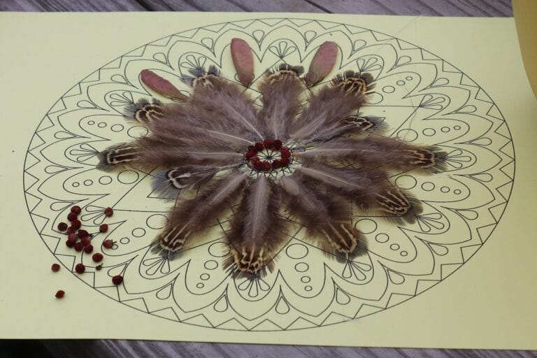 Natural Mandalas – Art at the Falls